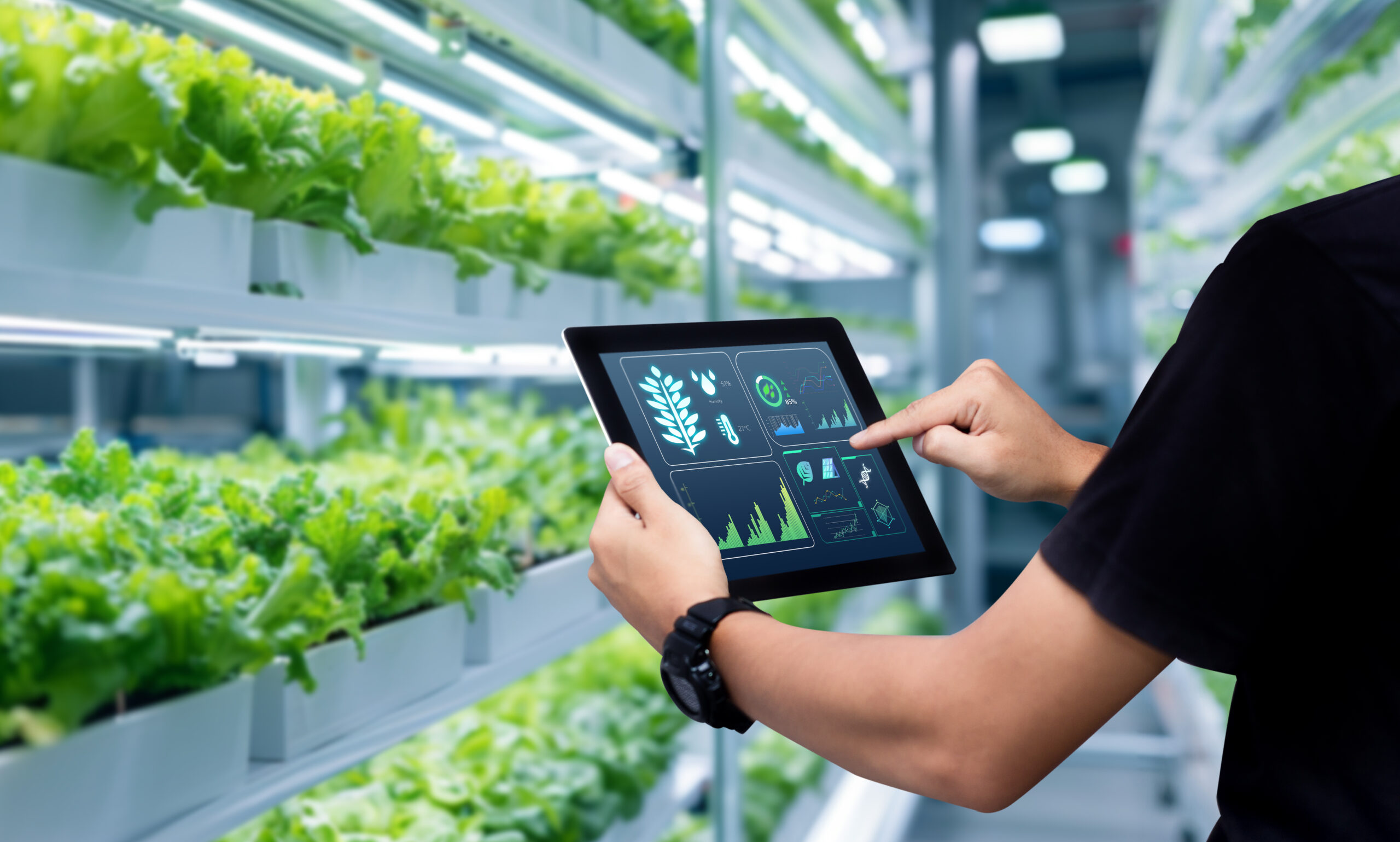 LED Lighting and Sustainable Agriculture: Enhancing Crop Growth with ...